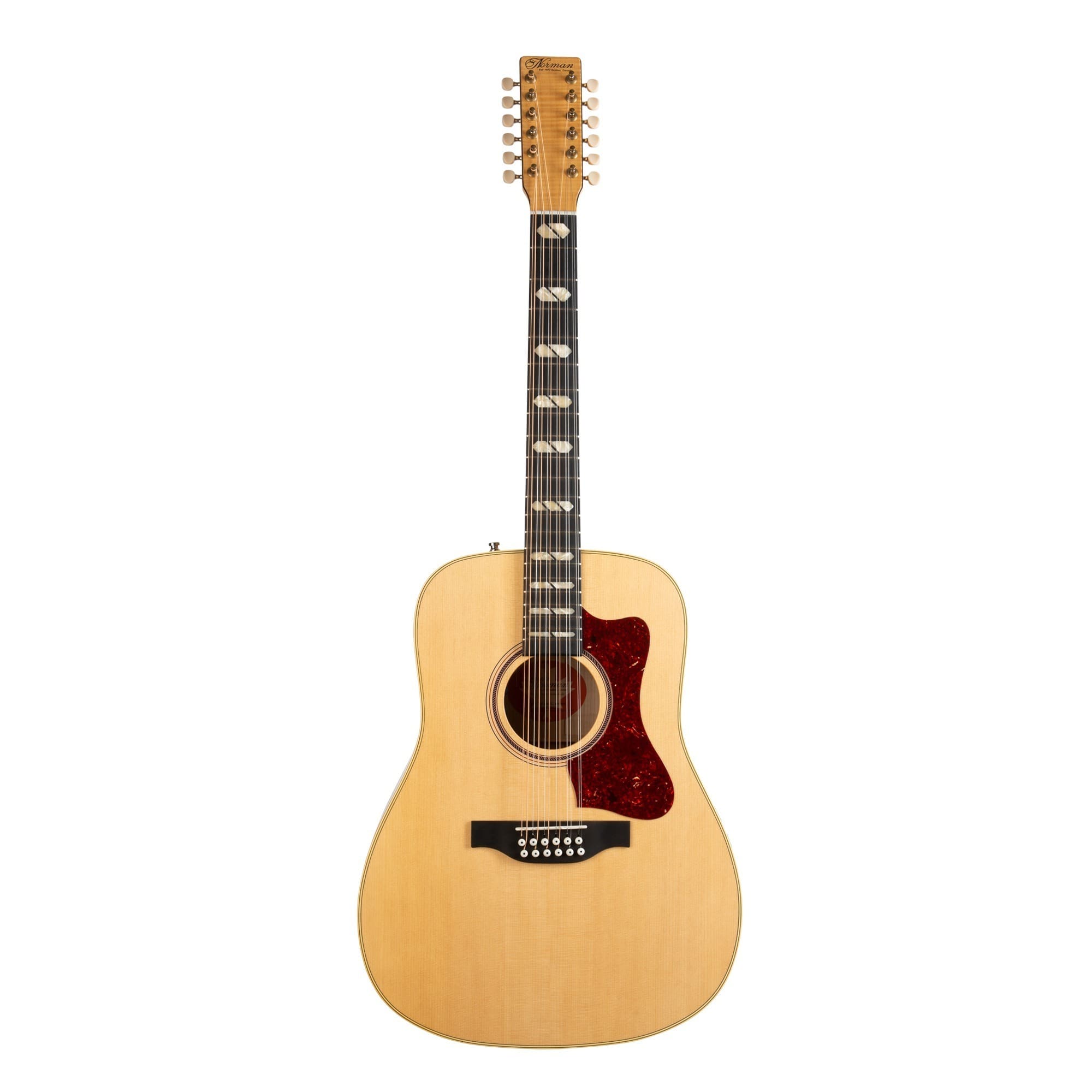GUITARE ACOUSTIQUE NORMAN B50 12-STRINGS FLAME MAPLE - 050499